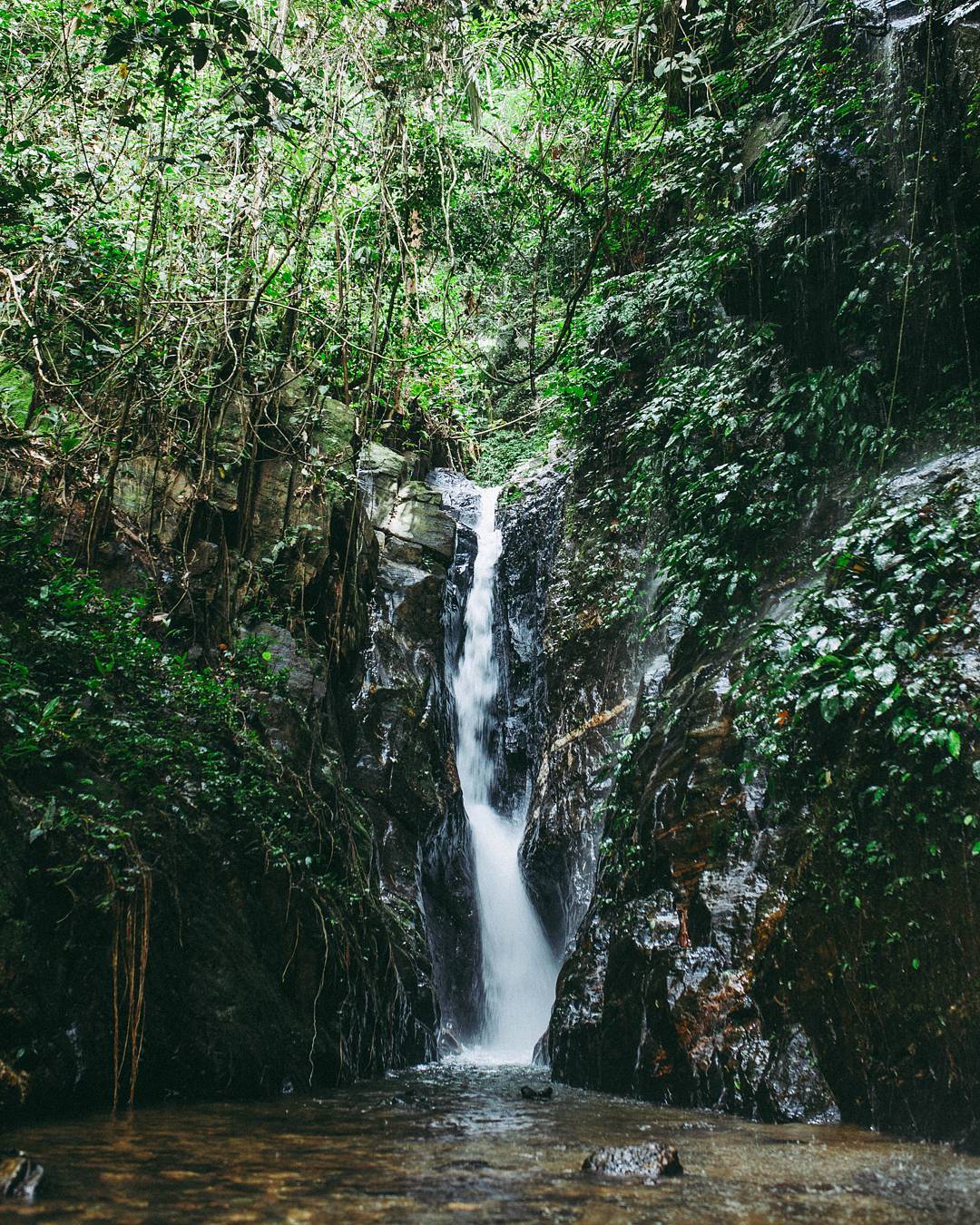 Gunung Yong Yap Via Rengil G7 – Open Trip - Jommoutdoor